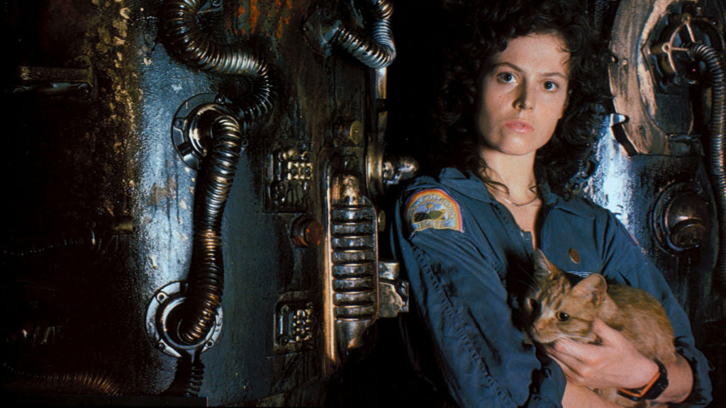 The 5 Most Badass Cats In Science Fiction - CatGazette