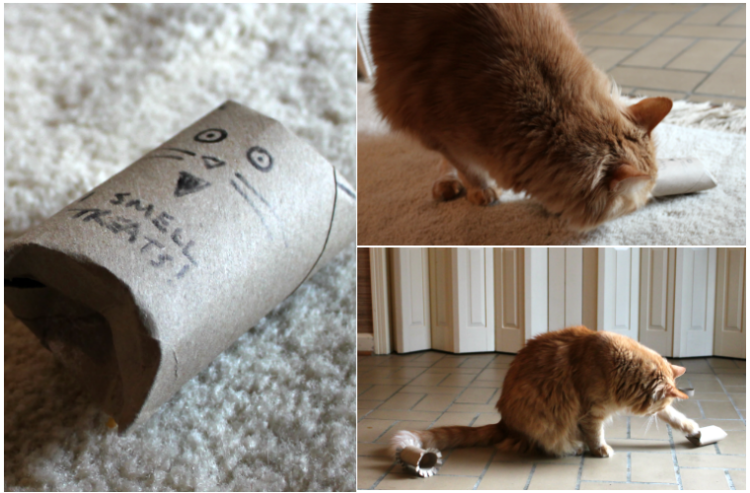 3 Ways To Go Green With Recycled DIY Cat Toys - CatGazette
