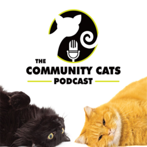 5 Cat Podcasts You Should Be Listening To - CatGazette