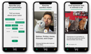 New Dating App “Tabby” Made Just for Cat-Lovers - CatGazette